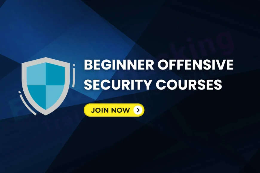 Beginner-Friendly Offensive Security Courses to Start Your ...
