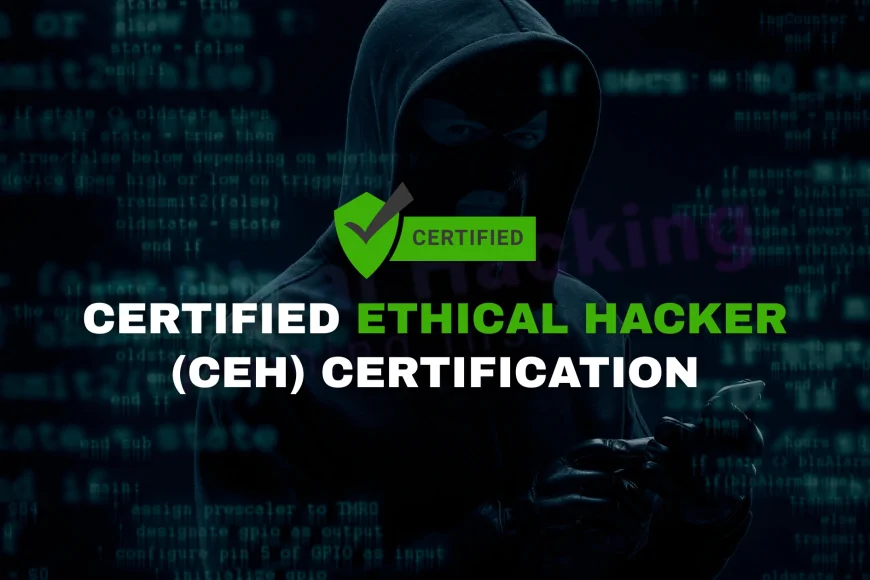 The Importance of the Certified Ethical Hacker Certificate in the ...