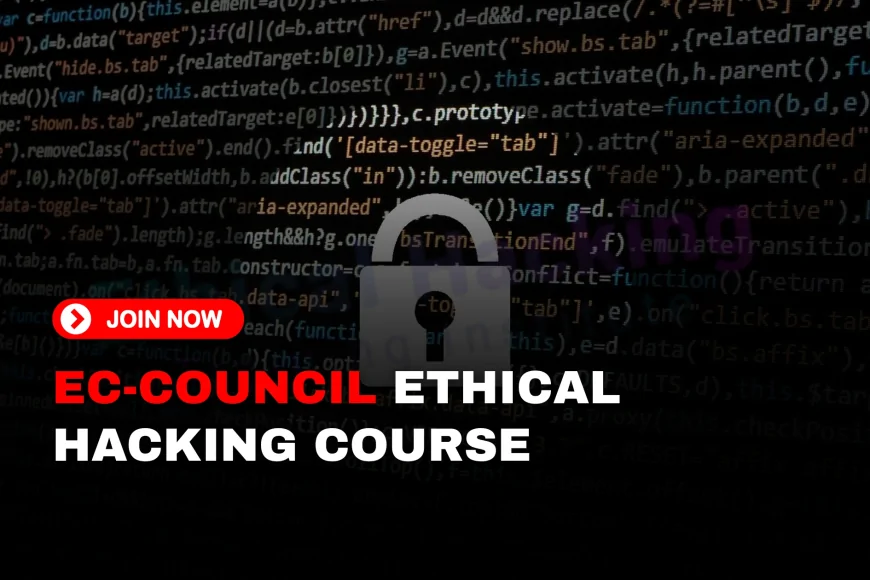 EC Council Ethical Hacking Course: A Comprehensive Learning Path for Aspiring Cybersecurity ...