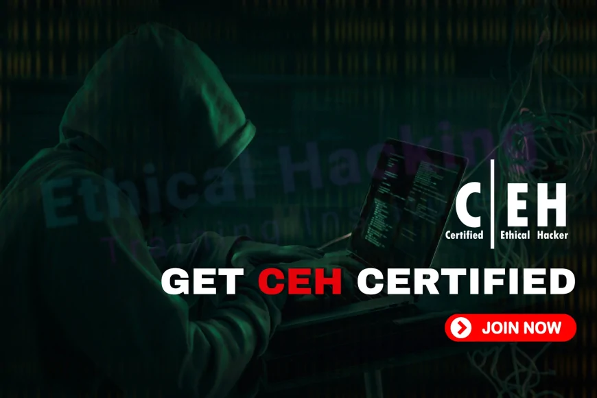 Certified Ethical Hacker Certification: How to Achieve It and What It ...