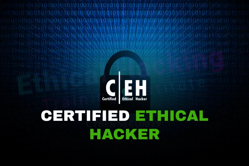 Certified Hacker Certification: Everything You Need to Know | How to ...